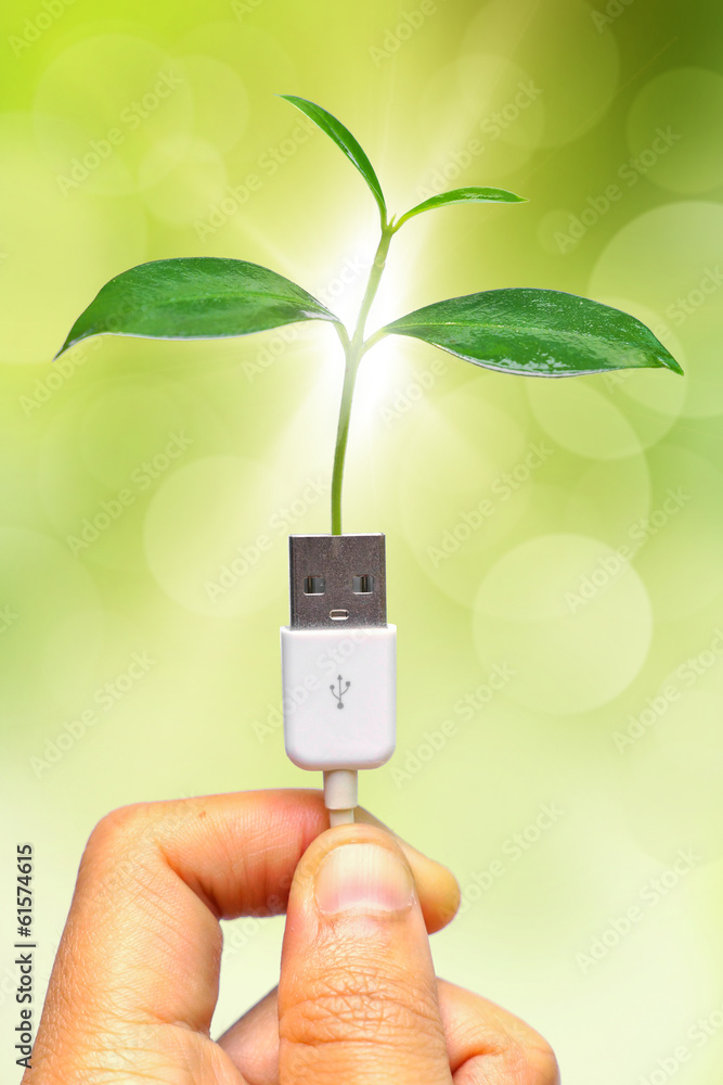 handing holding a tree growing on a usb cable / green IT Stock Photo ...