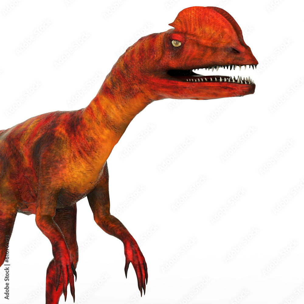 diceratops close up Stock Illustration | Adobe Stock