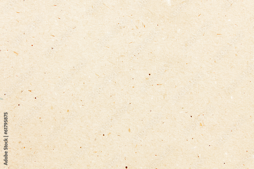 feuille de carton Stock Photo | Adobe Stock