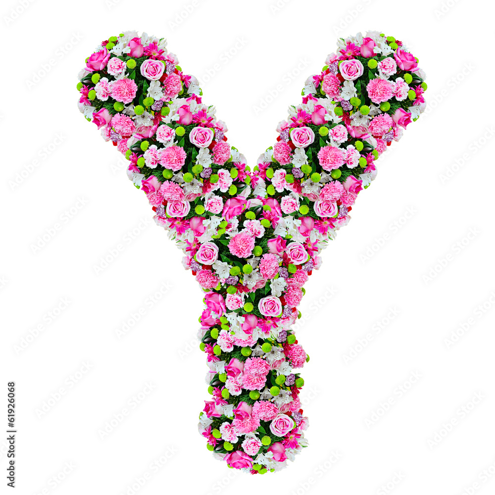 Y, flower alphabet isolated on white with clipping path Stock Photo ...
