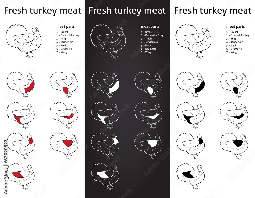 Fresh Turkey meat parts Icons for packaging and info-graphic Stock ...