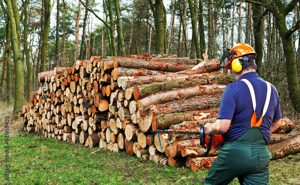Waldarbeiter im Forst Stock-Foto | Adobe Stock