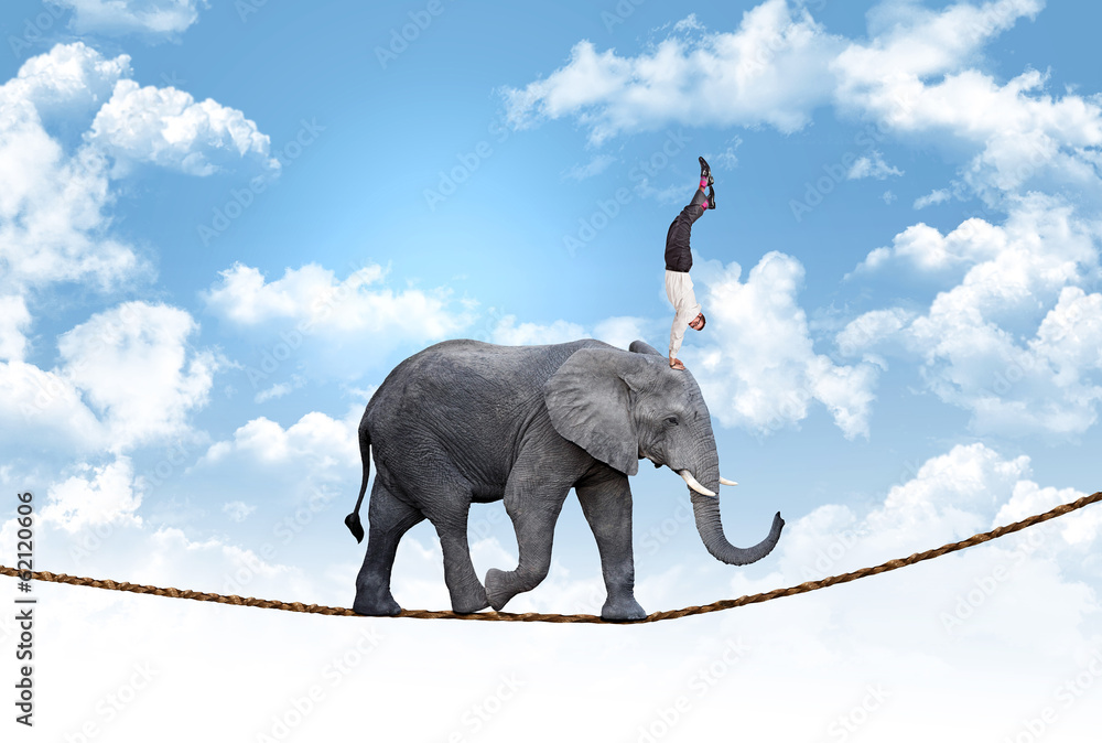 business acrobat Stock Photo | Adobe Stock