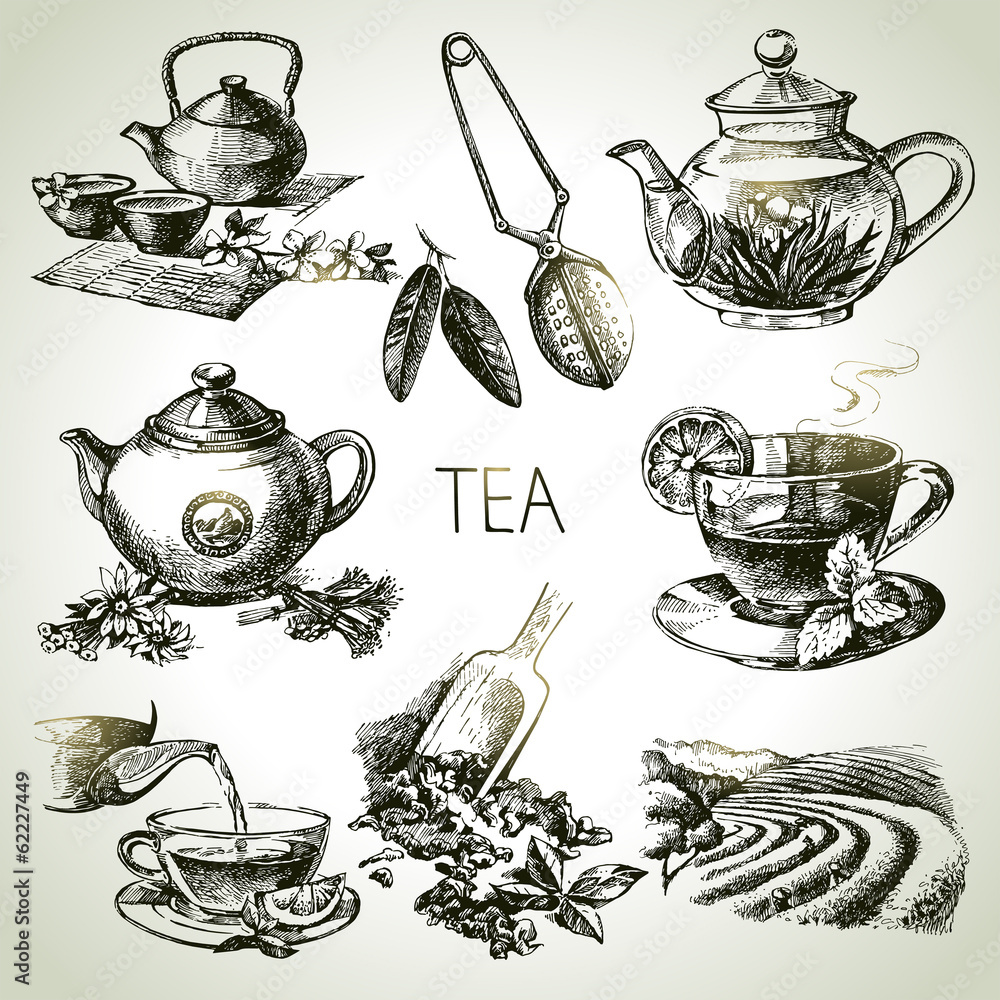 Hand drawn sketch vector tea set Stock Vector | Adobe Stock