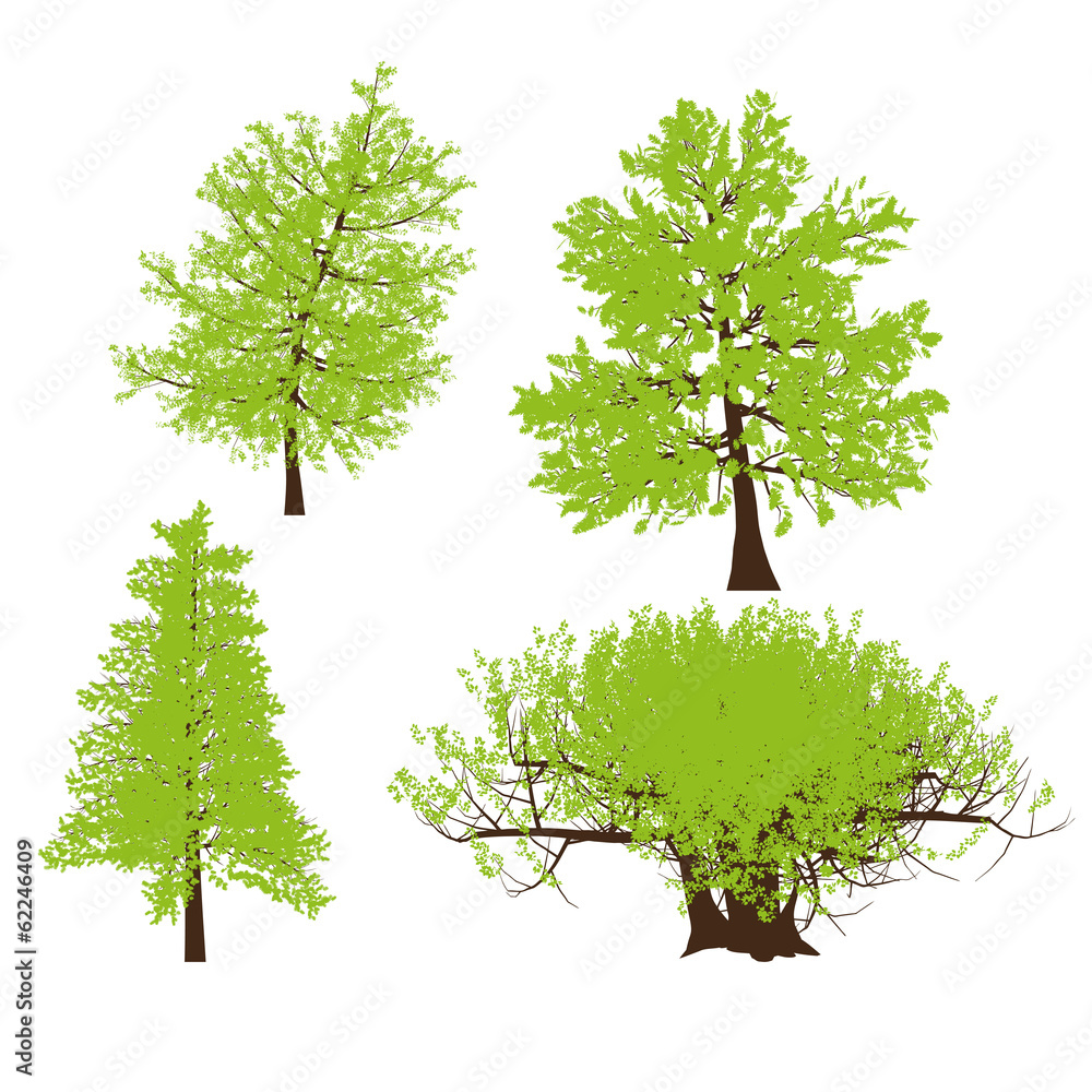 drawing of the tree vector llustration Stock Vector | Adobe Stock