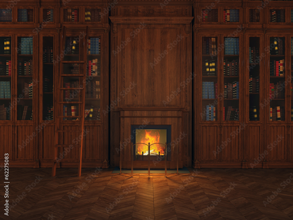 libraries around the fireplace Stock Illustration | Adobe Stock