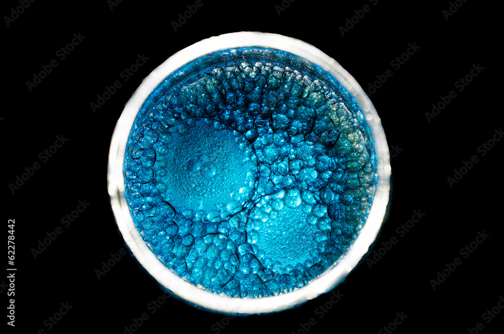 blue cells dividing form a bigger one Stock Photo | Adobe Stock