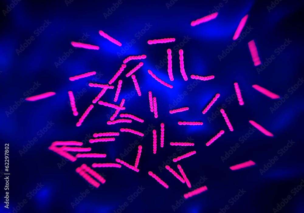Streptococcus pneumoniae, bacteria artwork Stock Illustration | Adobe Stock