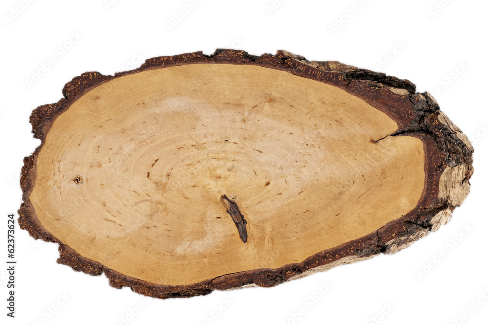 Holzscheibe Stock-Foto | Adobe Stock