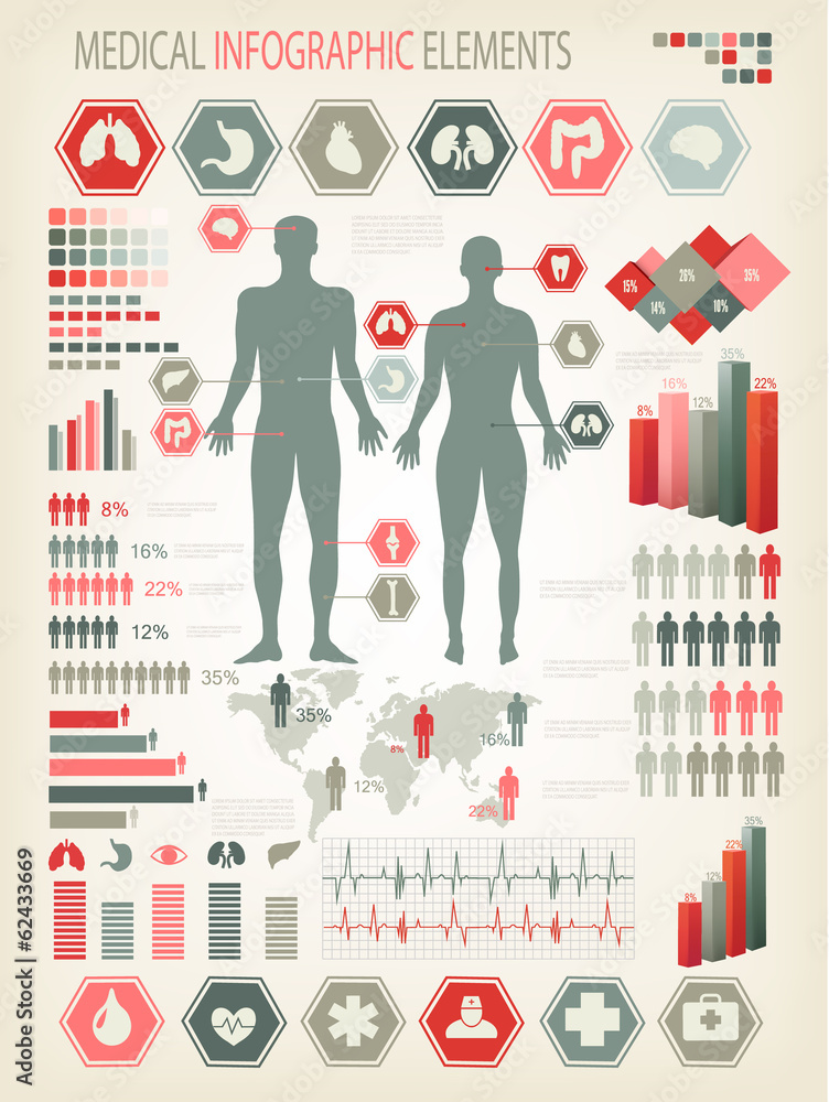 Medical infographics elements. Human body with internal organs. Stock ...