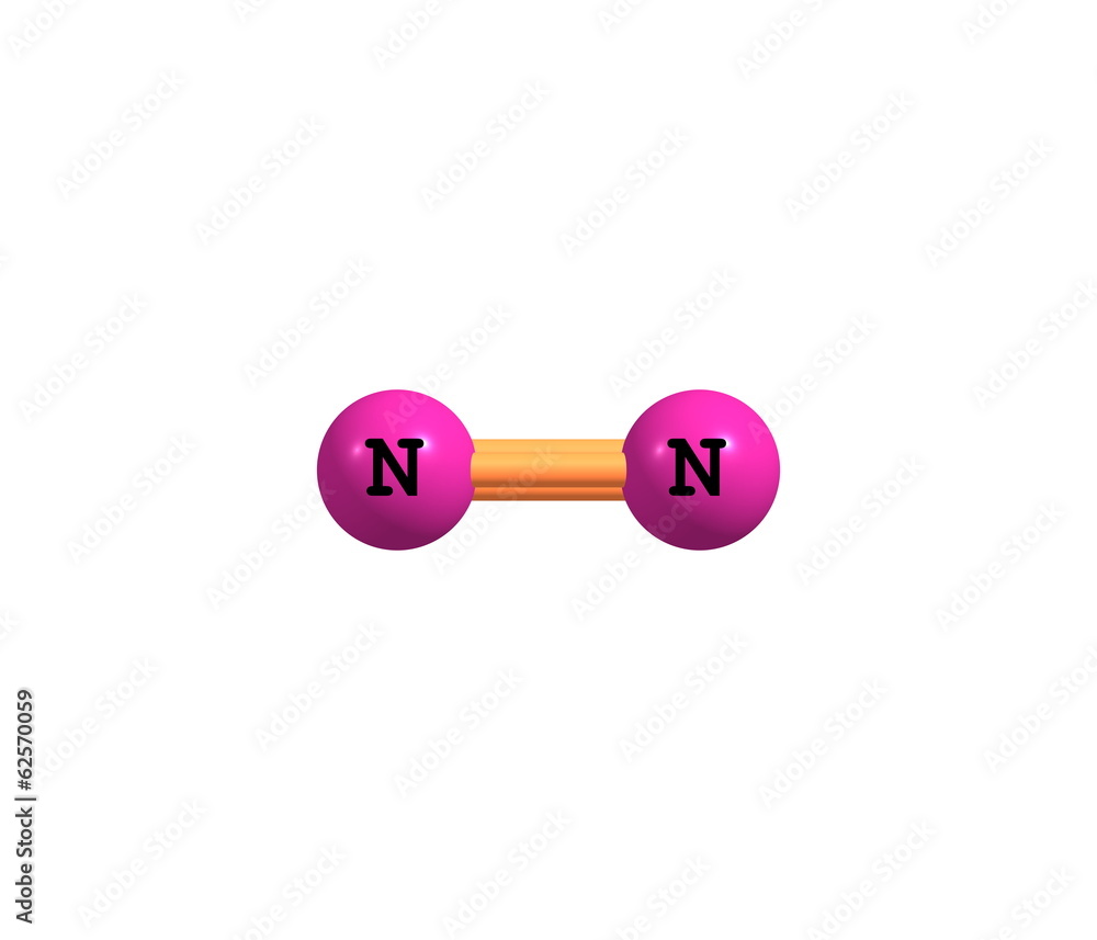 Nitrogen Structure