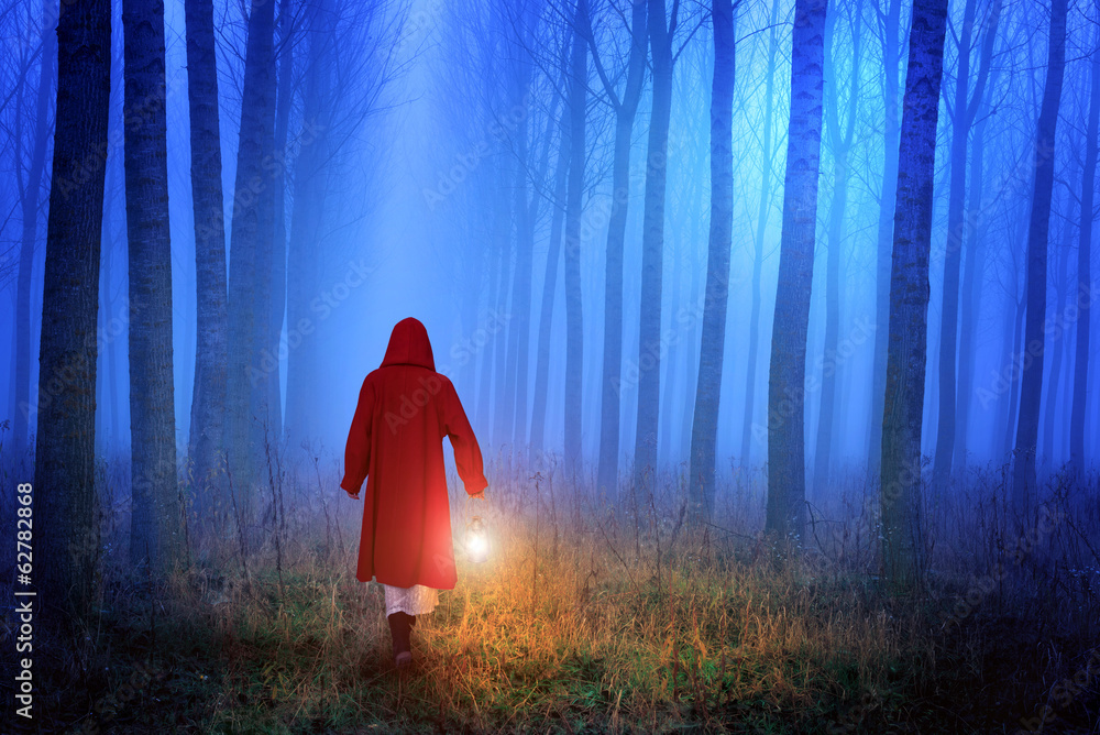 Little Red Riding Hood in the forest Stock Photo | Adobe Stock
