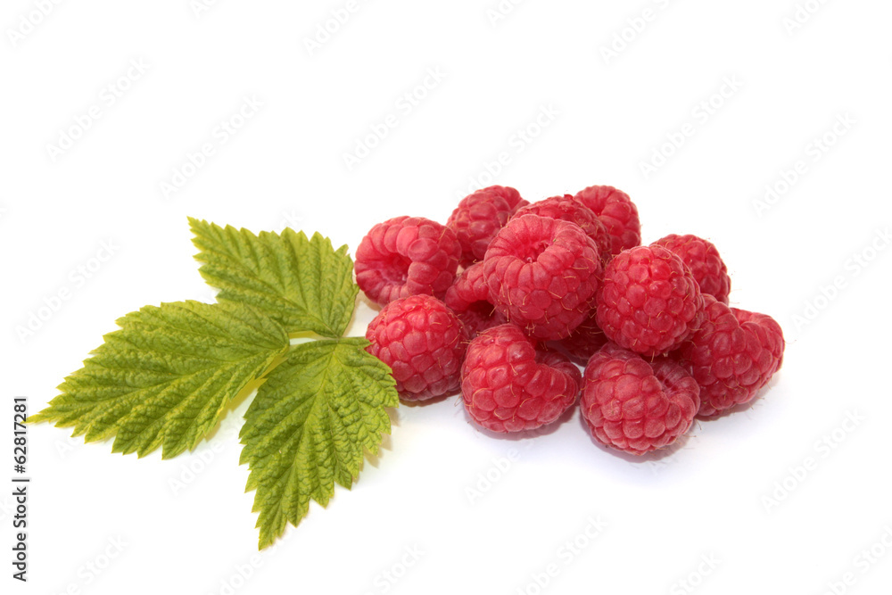 framboises Stock Photo | Adobe Stock