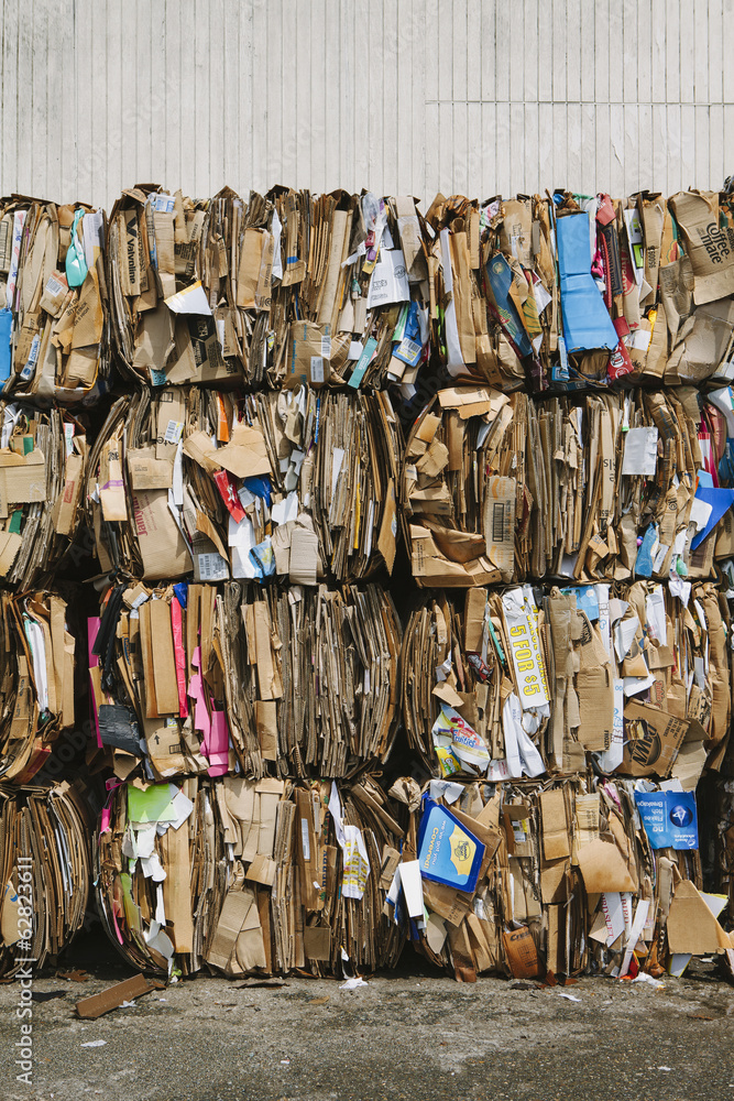 Recycling facility with bundles of cardboard sorted and tied up for ...