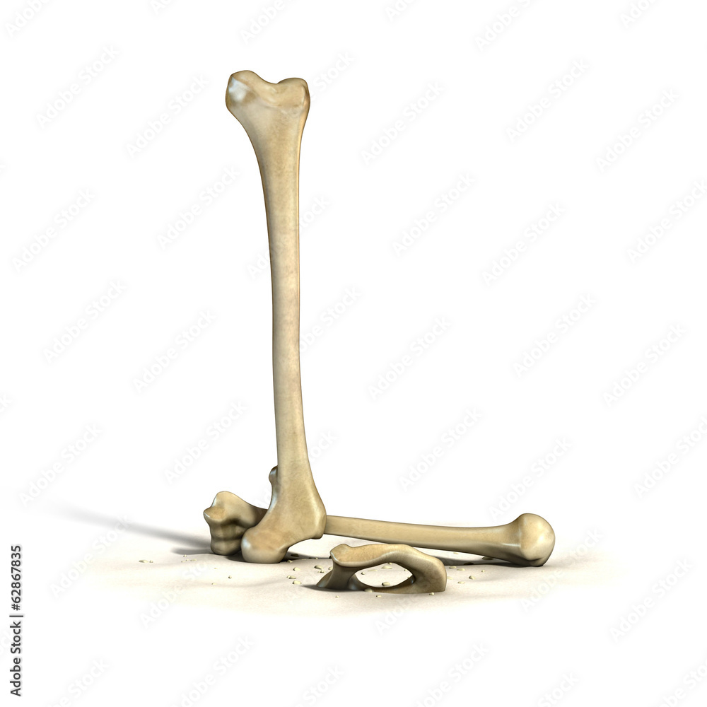 bones font letter L Stock Illustration | Adobe Stock