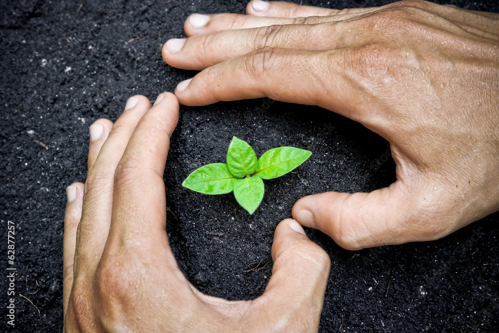 planting tree / growing a tree / love nature / heal the world Stock ...