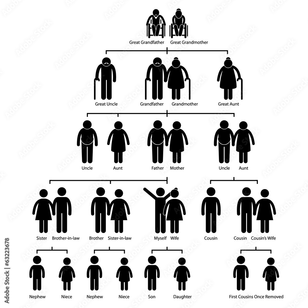 Family Tree Genealogy Diagram Stock Vector | Adobe Stock