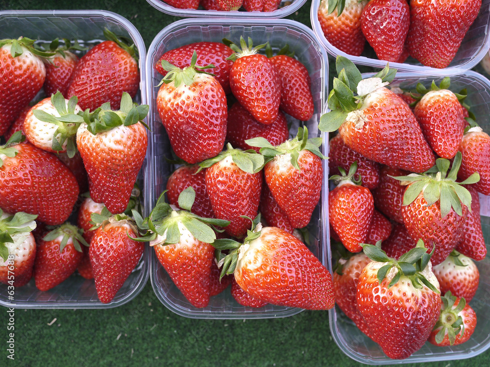 barquettes de fraises Stock Photo | Adobe Stock
