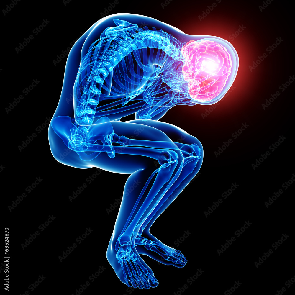 Anatomy of male brain pain in black Stock Illustration | Adobe Stock