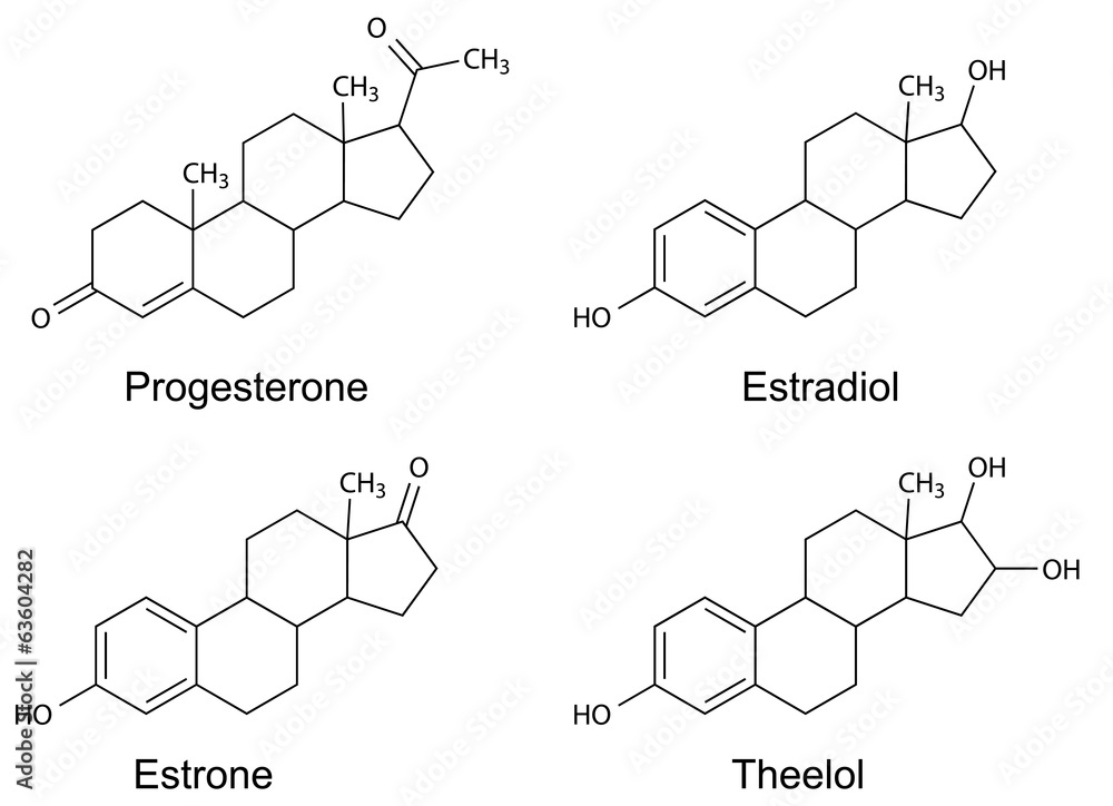 Photo And Art Print Structural Formulas Of Female Sex Hormones Logos2012