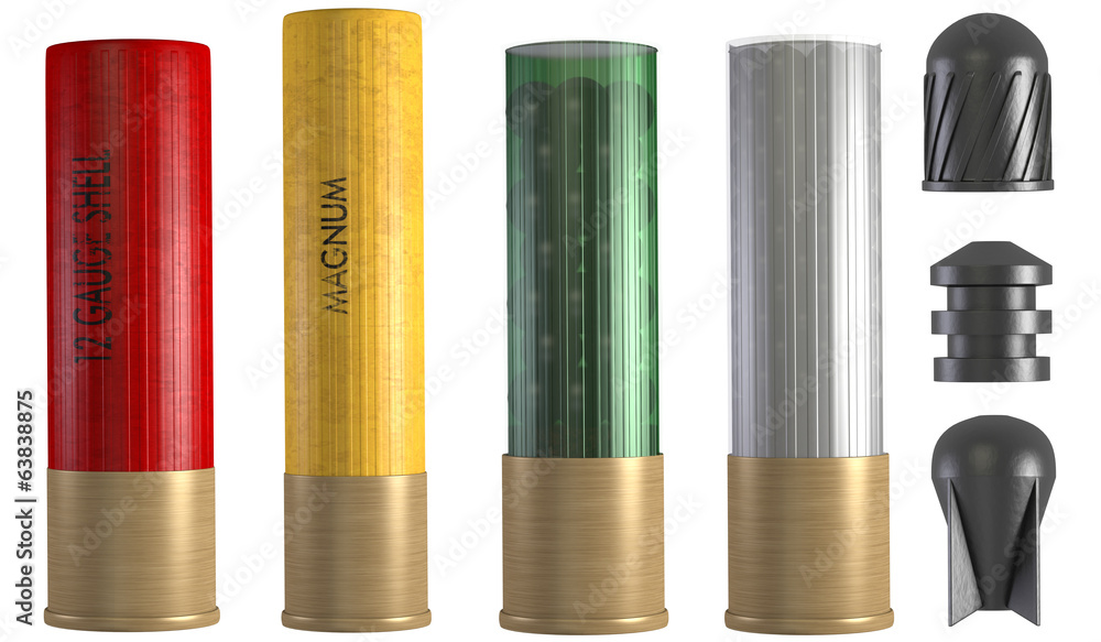 Set of different types of shotgun ammunition including slugs Stock ...