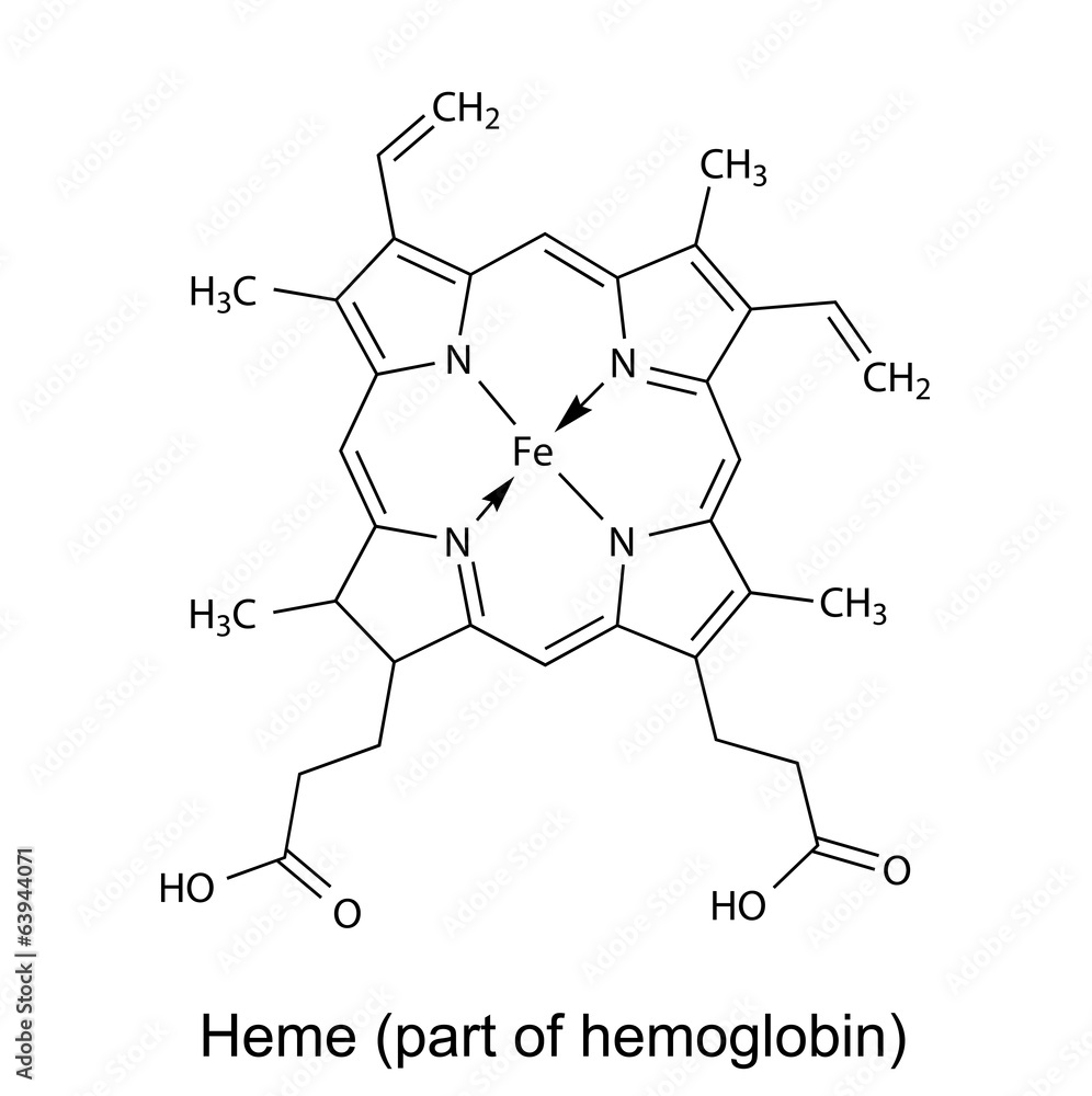 Structural chemical formula of heme molecule Stock Vector | Adobe Stock
