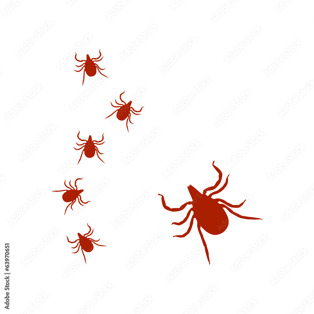 Zecke Stock-Vektorgrafik | Adobe Stock