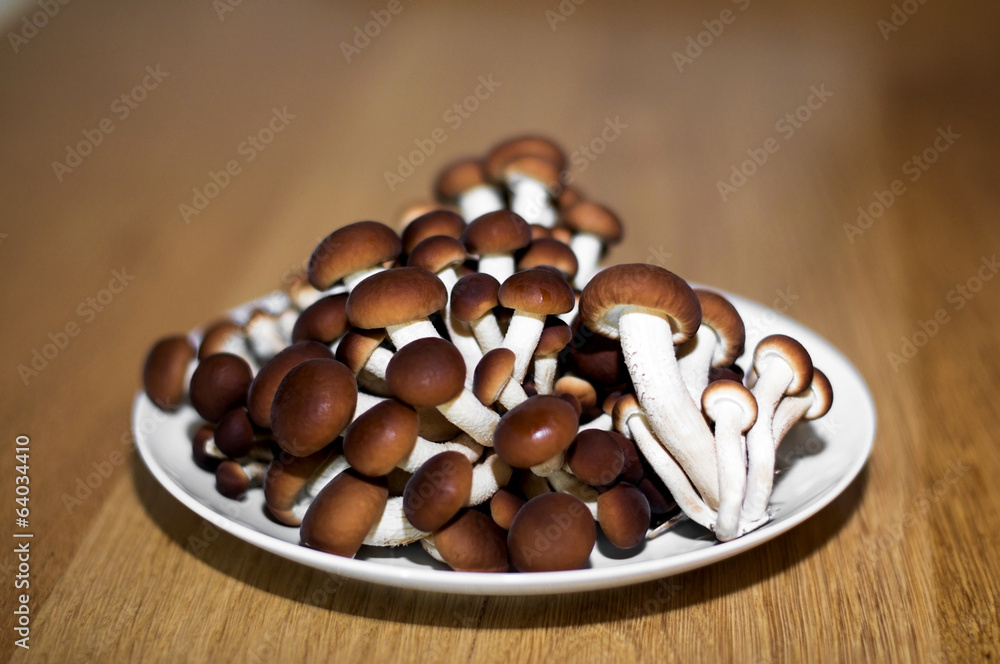 Foto Stock funghi pioppini | Adobe Stock