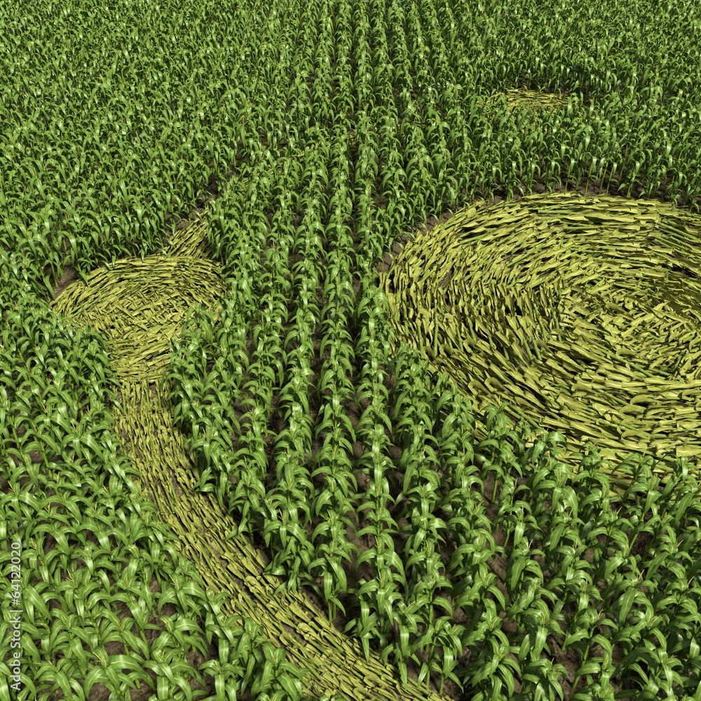Crop Circles Close Up