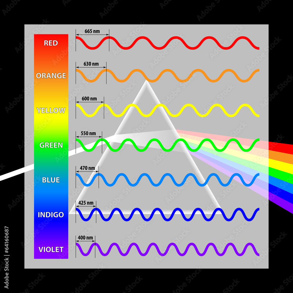 Wavelength colors in the spectrum Stock Vector | Adobe Stock