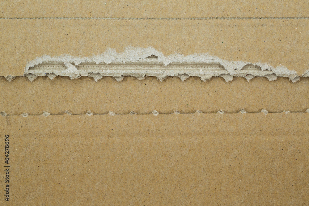 Pappe_1 Stock-Foto | Adobe Stock