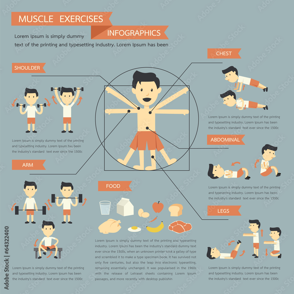 Muscle Exercises infographics Stock Vector | Adobe Stock
