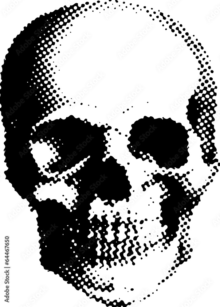 human skull round1 Stock Vector | Adobe Stock