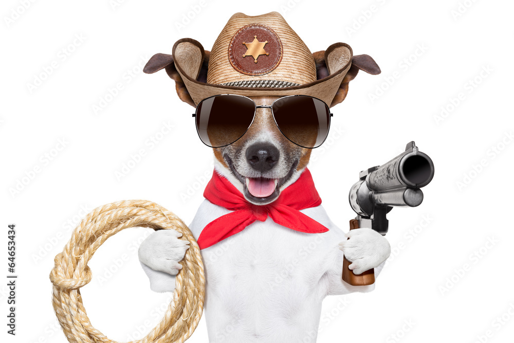 cowboy dog Stock Photo | Adobe Stock