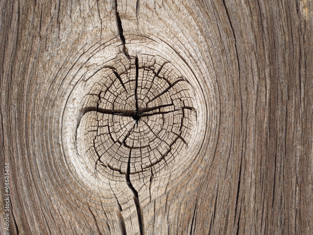 Astloch Stock-Foto | Adobe Stock