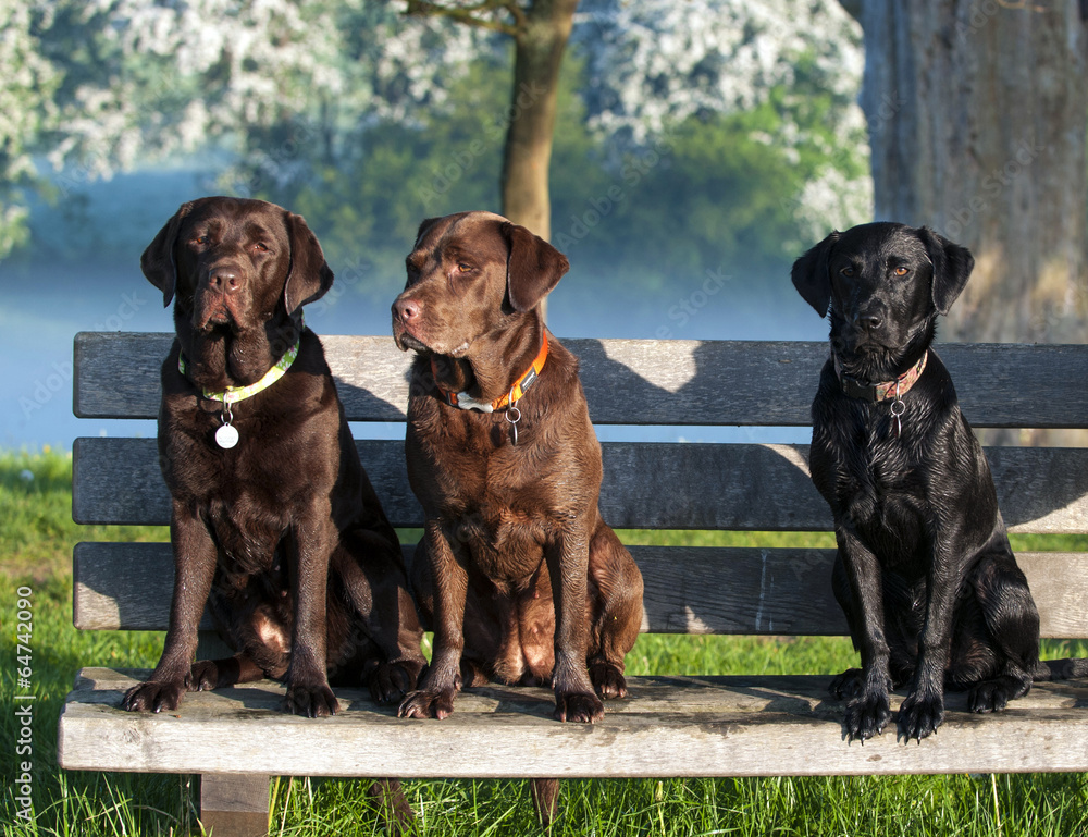 waiting Stock Photo | Adobe Stock