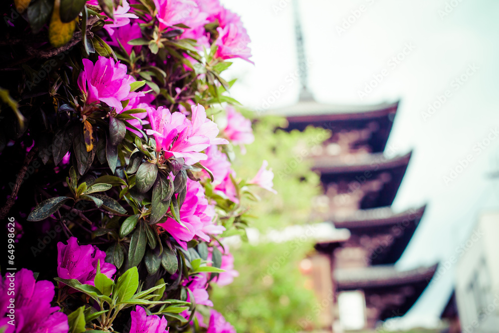 Toji Temple pagoda tower in Kyoto Stock Photo | Adobe Stock