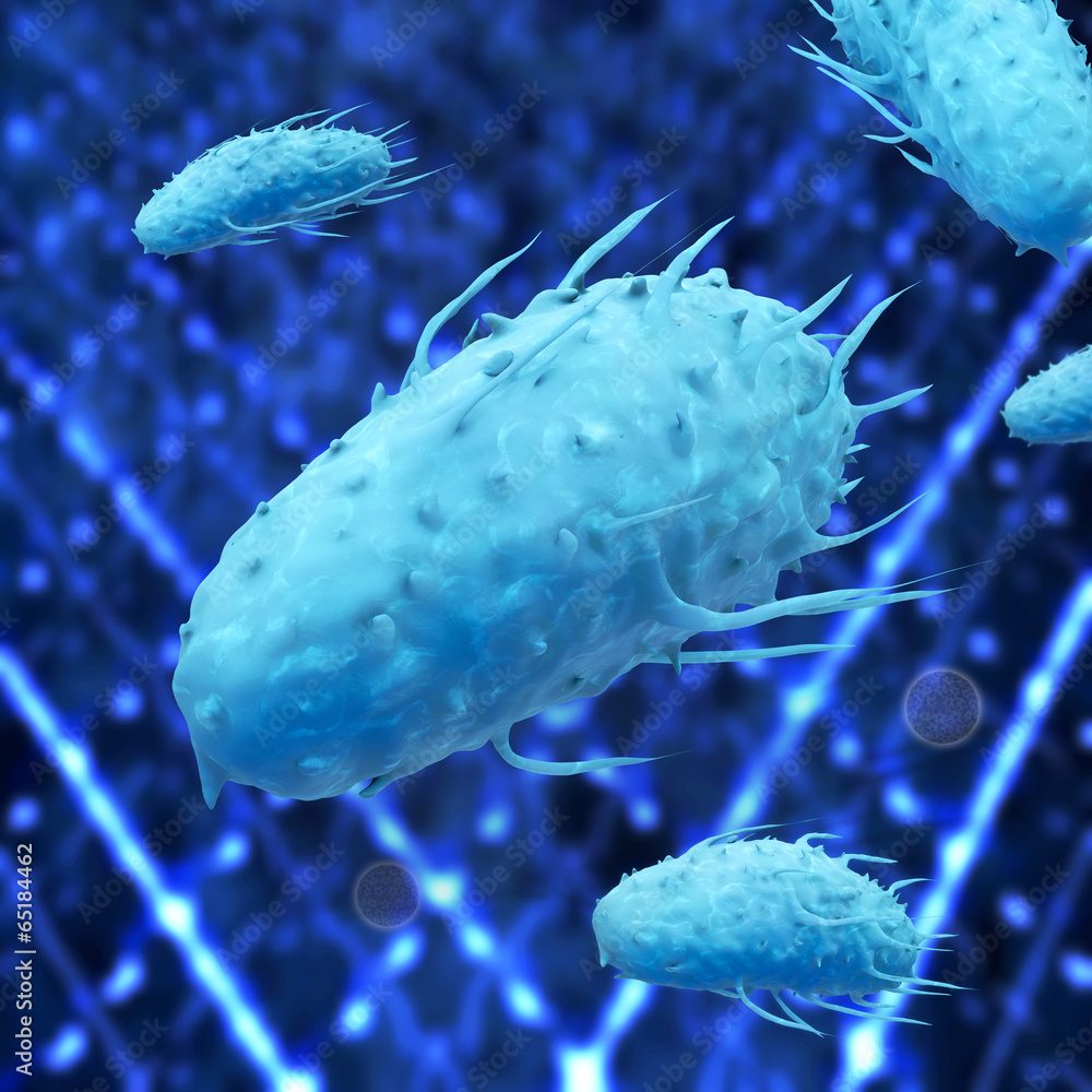 Proteus Bakterien - 3d Render Stock Photo | Adobe Stock