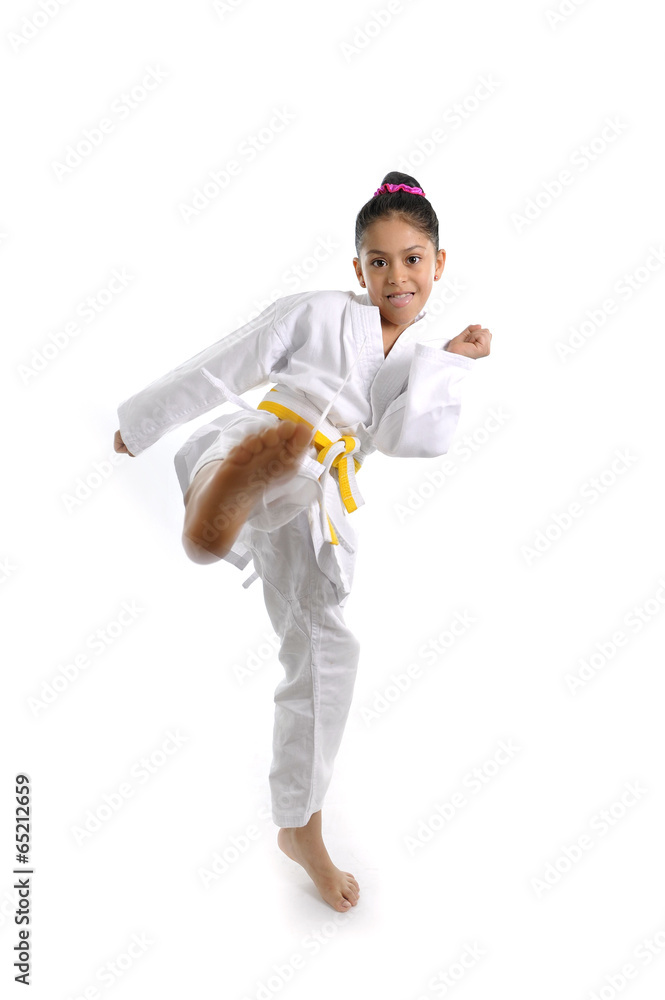 Martial Arts Girl Kick
