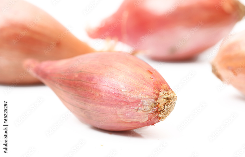 échalote Stock Photo | Adobe Stock