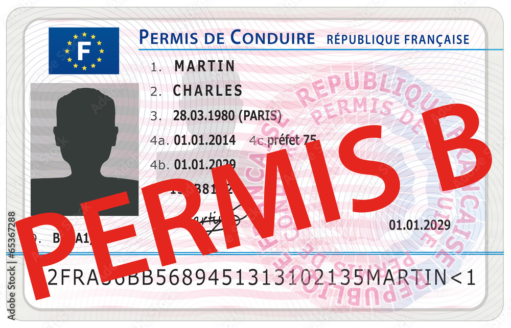 Permis de conduire. Nouveau modèle. Permis B. Stock Illustration ...
