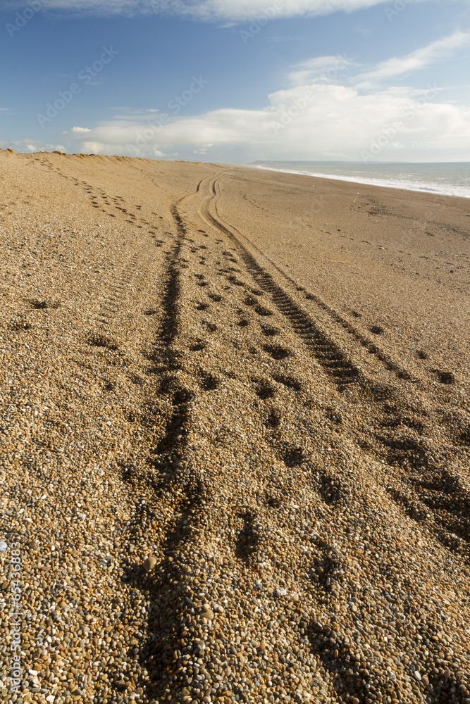 Track, wheel ruts on the Chesil Beach. Stock Photo | Adobe Stock