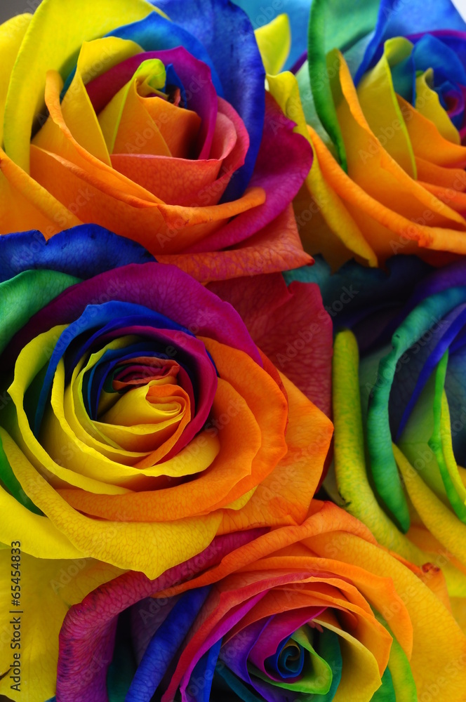 Happy Rose Rainbow