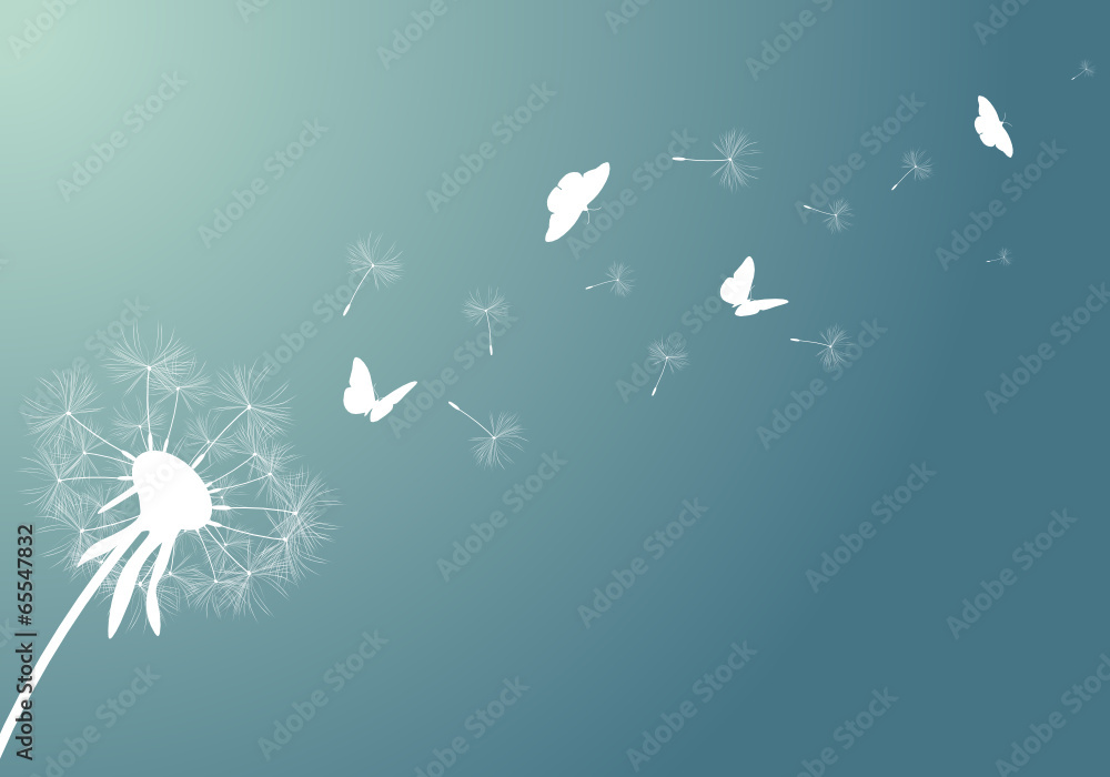 Pusteblume Stock Vector | Adobe Stock