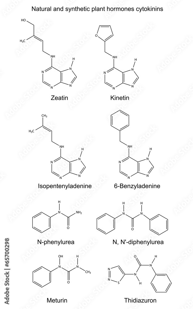 Structural chemical formulas of plant hormones cytokinins Stock Vector ...