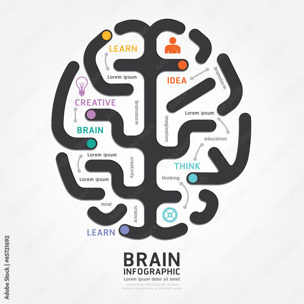 infographics vector brain design diagram line style template Stock ...