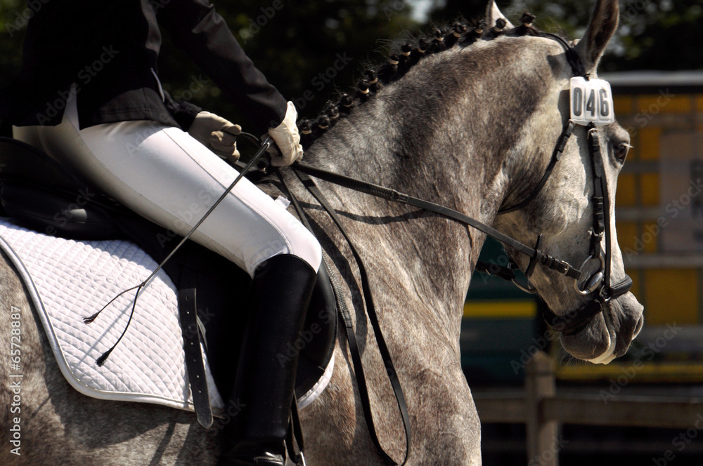 Im Sattel sitzen, das Pferd reiten, zügeln... Stock Photo | Adobe Stock