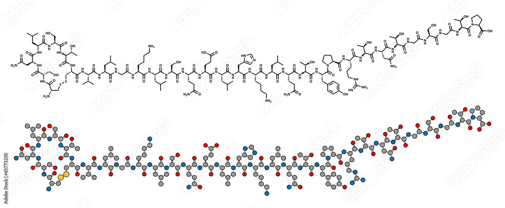 Calcitonin Structure