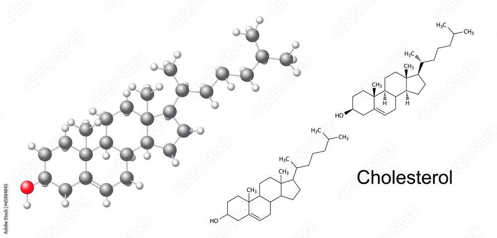 Structural formulas and model of cholesterol molecule Stock Vector ...