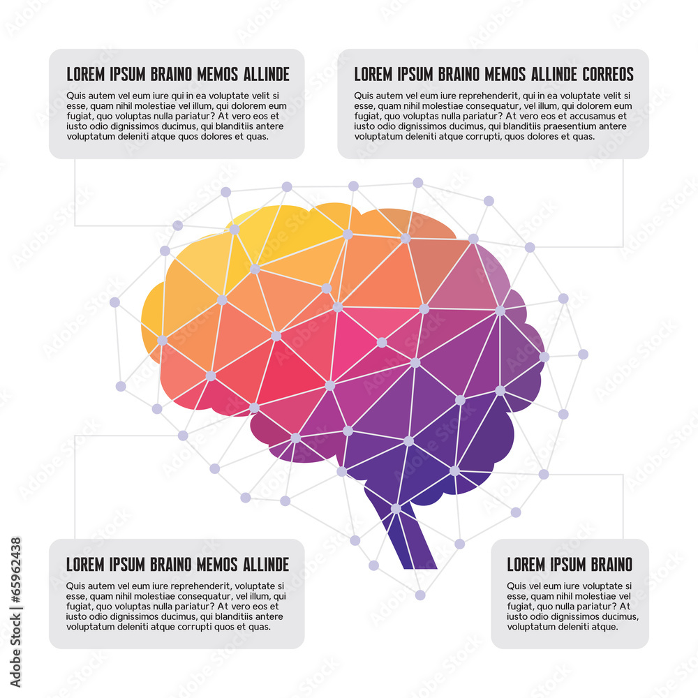Human Brain - Colored Polygon Infographic Illustration Stock Vector ...